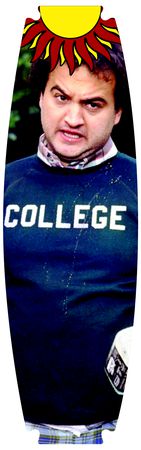 Perfect Day IPA – Asheville Brewing Company